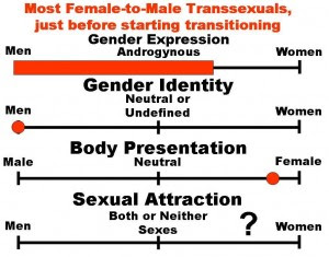 Trans Group Blog: Gender Identity, Gender Expression, Body Presentation ...